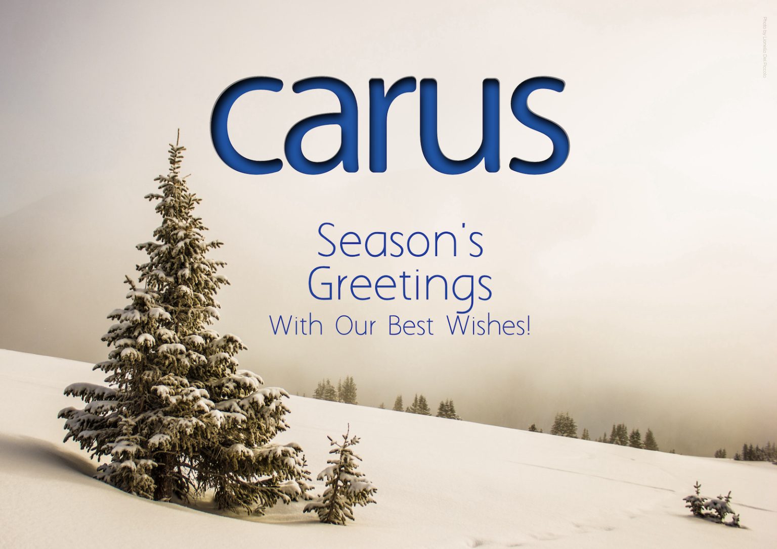Home - Carus